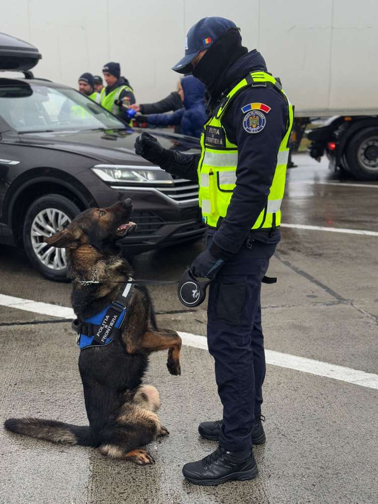 Results recorded at the border in the last 24 hours - Romanian Border ...