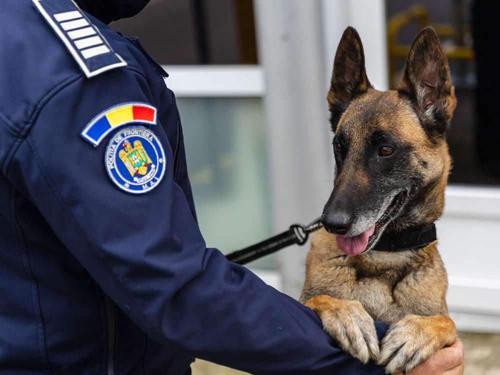 Rezultate înregistrate la frontieră în ultimele 24 de ore - Politia de ...